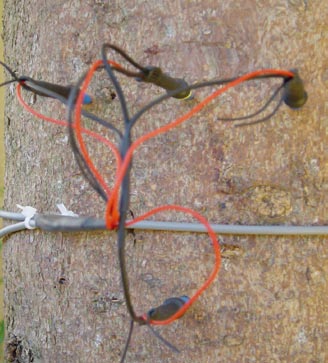 SF-L Sap Flow Meter - LICA UNITED TECHNOLOGY LIMITED